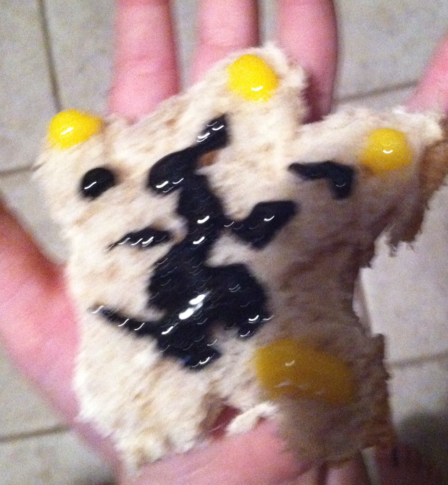 Connor & JT’s Adventures in Snack Making – Where Connor and JT Go